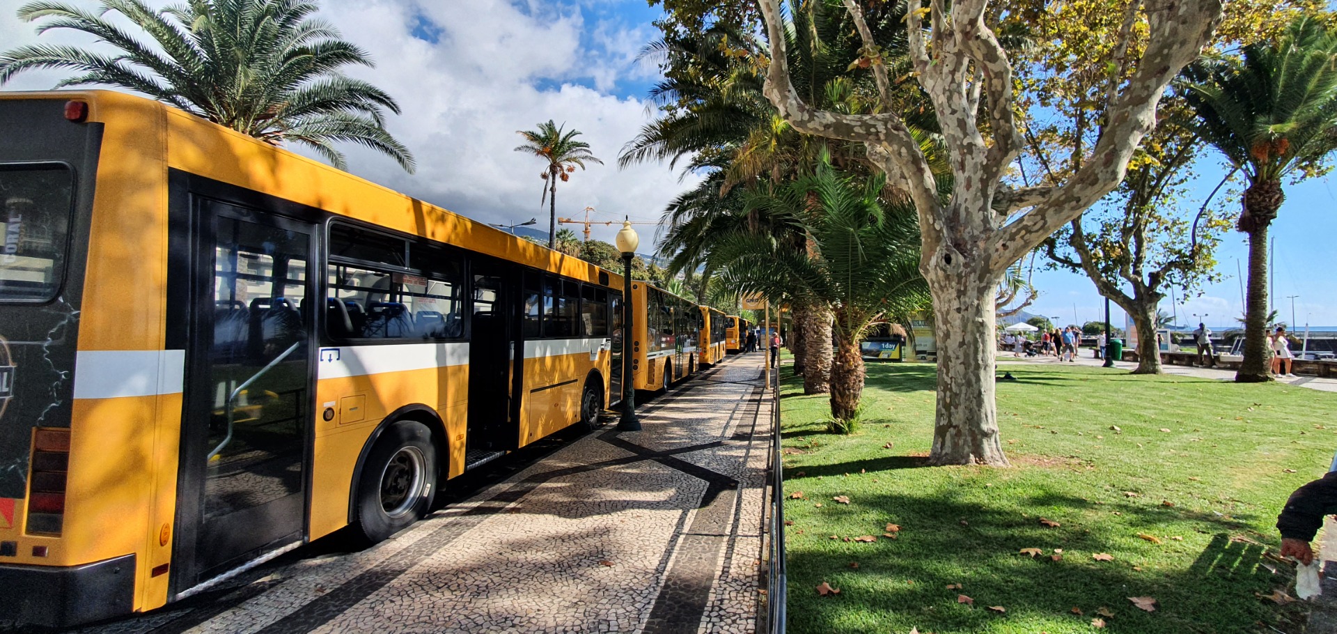 Madeira mit dem Bus entdecken: Alle Highlights & Fahrpläne